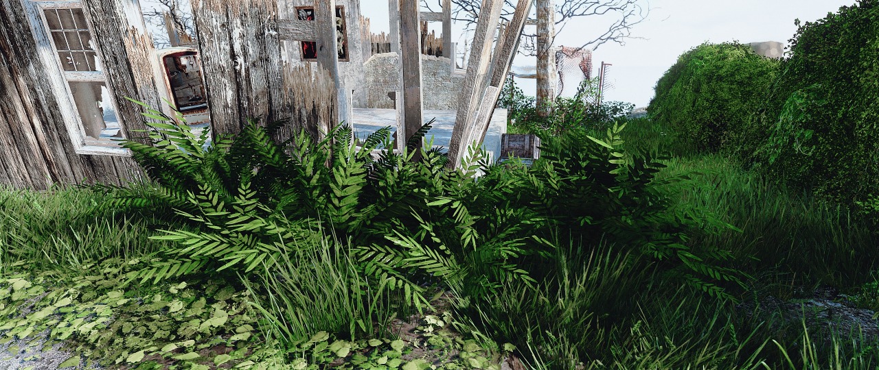 Luxor's Summer - a Environment Overhaul 環境 - Fallout4 Mod データベース MOD紹介 ...