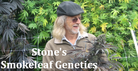 Smokeleaf Genetics: Korundgen Kush 1.4 - RimWorld Mod データベース MOD紹介・まとめサイト
