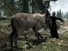 Summon Animal Pets 日本語化対応 フォロワー - クリーチャー - Skyrim Mod データベース MOD紹介・まとめサイト