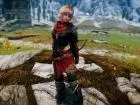 Rogue Armor 鎧・アーマー - Skyrim Mod データベース MOD紹介・まとめサイト
