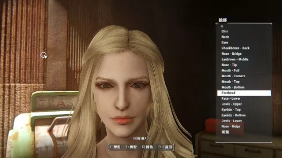 M-skin for CBBE (female body and face texture) モデル・テクスチャ - Fallout4 Mod ...