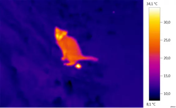 Better thermal vision ゲームプレイ - Fallout4 Mod データベース MOD紹介・まとめサイト