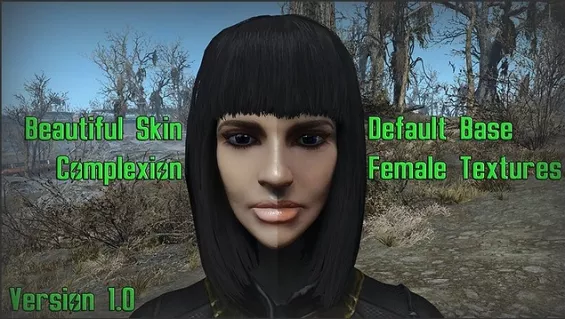 Beautiful Skin Complexion モデル・テクスチャ - Fallout4 Mod データベース MOD紹介・まとめサイト
