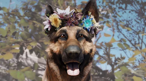 Big Dumb Flower Crown 服 - Fallout4 Mod データベース MOD紹介・まとめサイト