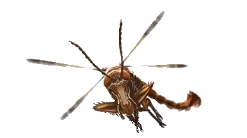 Faster Bugs Flies Insects - Bloatfly - Bloodbug - Stingwing クリーチャー・生き物 ...