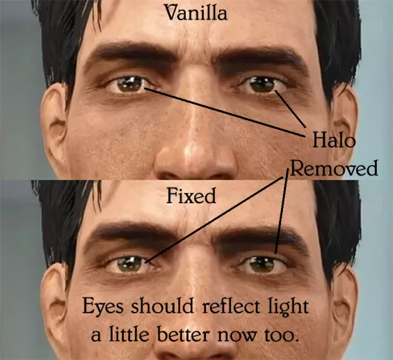 Eye Normal Map Fix Fallout 4 Edition グラフィックス - Fallout4 Mod データベース MOD ...