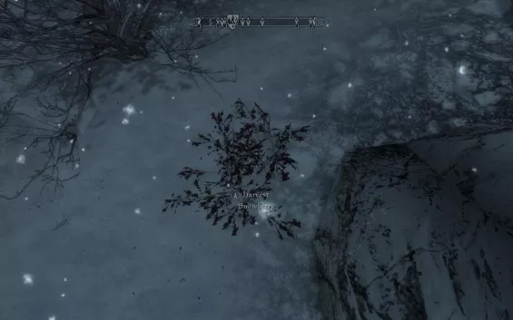 Half-sized Snowberries イマージョン - Skyrim Mod データベース MOD紹介・まとめサイト
