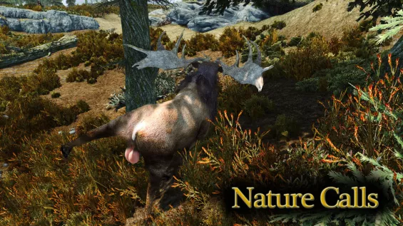 Nature Calls イマージョン - Skyrim Mod データベース MOD紹介・まとめサイト