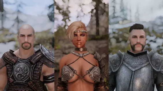 My DLC Housecarls 1esp NPC - Skyrim Mod データベース MOD紹介・まとめサイト
