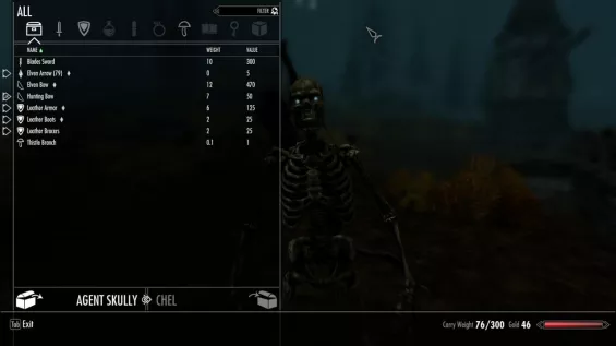 Agent skully Skeleton companion フォロワー - クリーチャー - Skyrim Mod データベース MOD ...