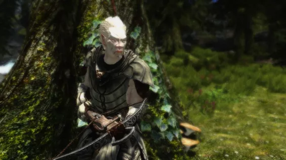 Snow Elf Playable Race 種族 - Skyrim Mod データベース MOD紹介・まとめサイト