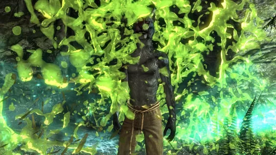 Stray Khajiit - Transforming Follower フォロワー - Skyrim Mod データベース MOD紹介 ...