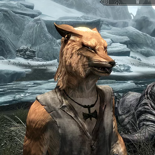 Playable Fox Race - Fennec 種族 - Skyrim Mod データベース MOD紹介・まとめサイト