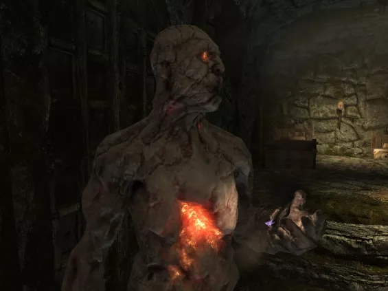 Wandering Ash Ghoul 日本語化対応 種族 - Skyrim Mod データベース MOD紹介・まとめサイト