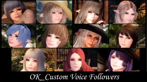 OK_Custom Voice Followers 日本語化対応 フォロワー - Skyrim Mod データベース MOD紹介・まとめサイト