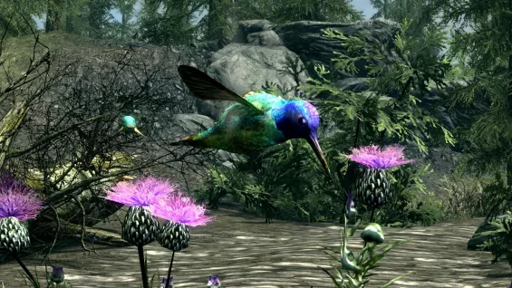 Hummingbirds- Mihail Monsters and Animals (mihail oldrim mod) クリーチャー ...